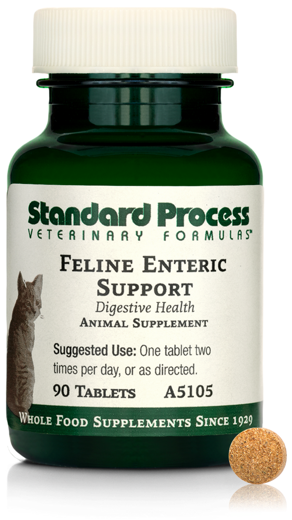 Feline Enteric Support, 90 Tablets – Holistic Veterinary Options