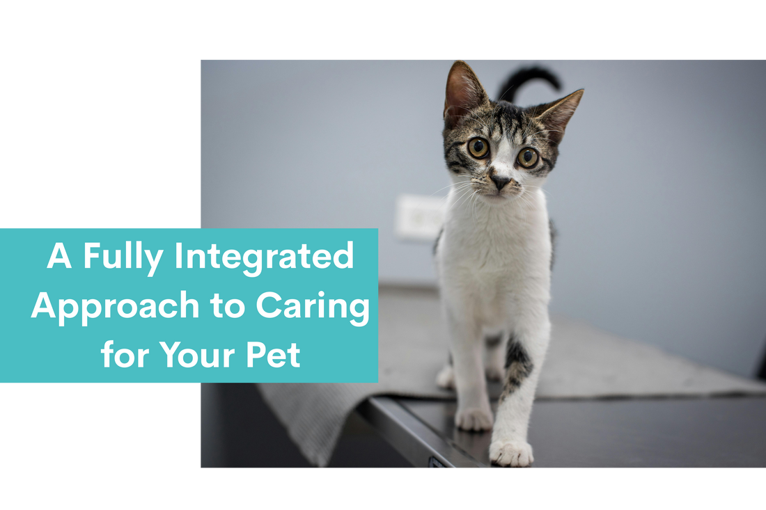 Holistic Veterinary Options, LLC