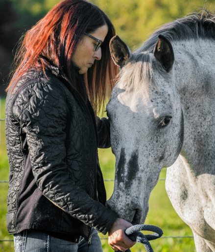 The Practice – Holistic Veterinary Options